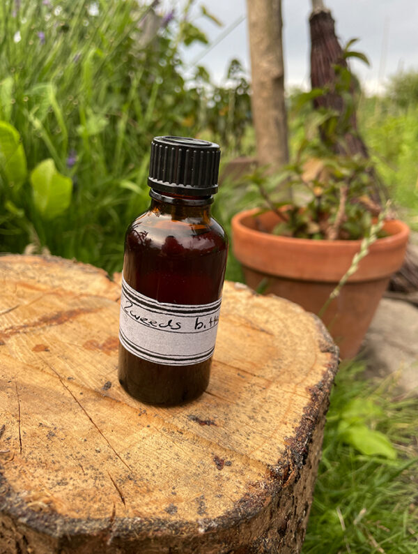 De geneeskracht van Zweeds Bitter - Volbord